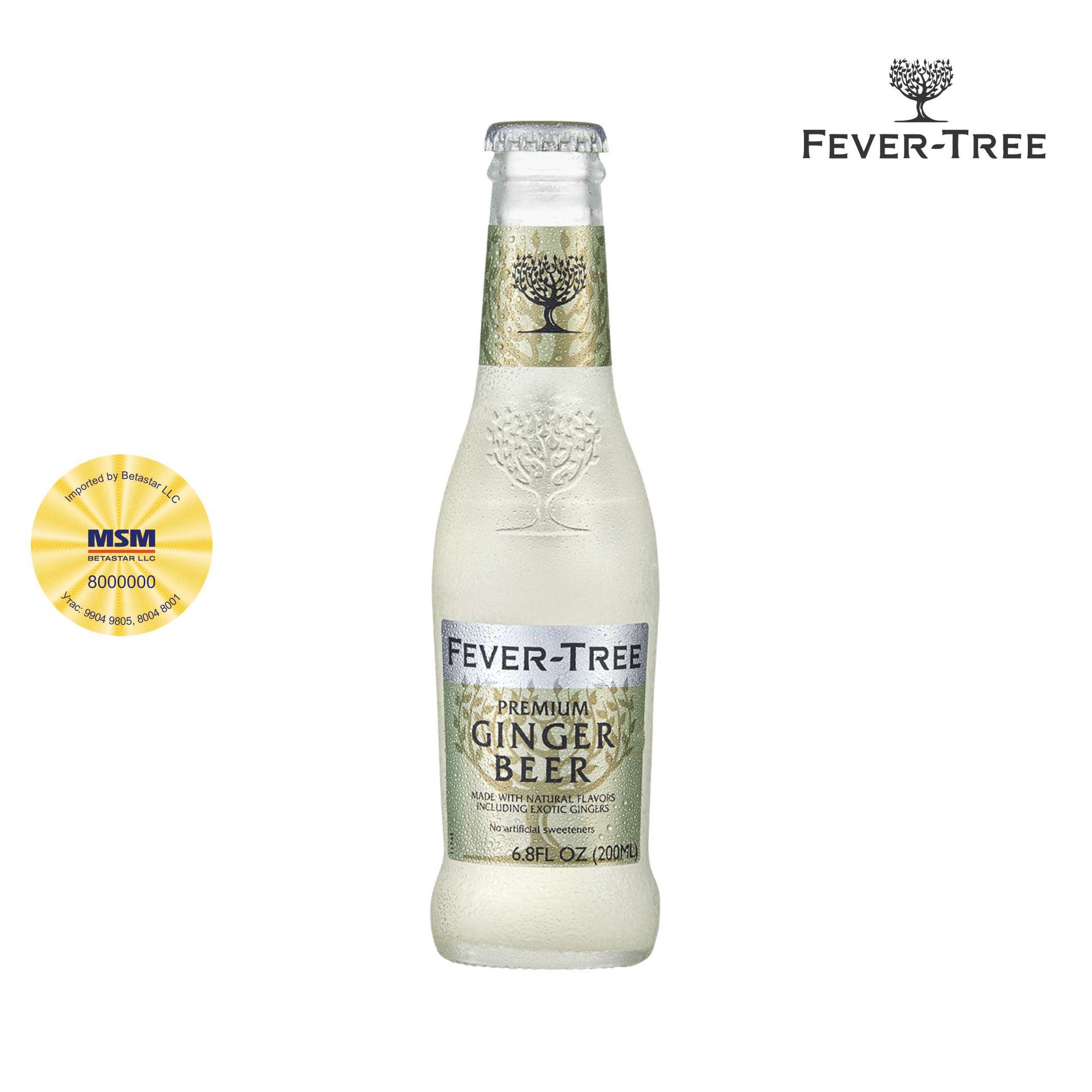 FT Ginger Beer 200ml